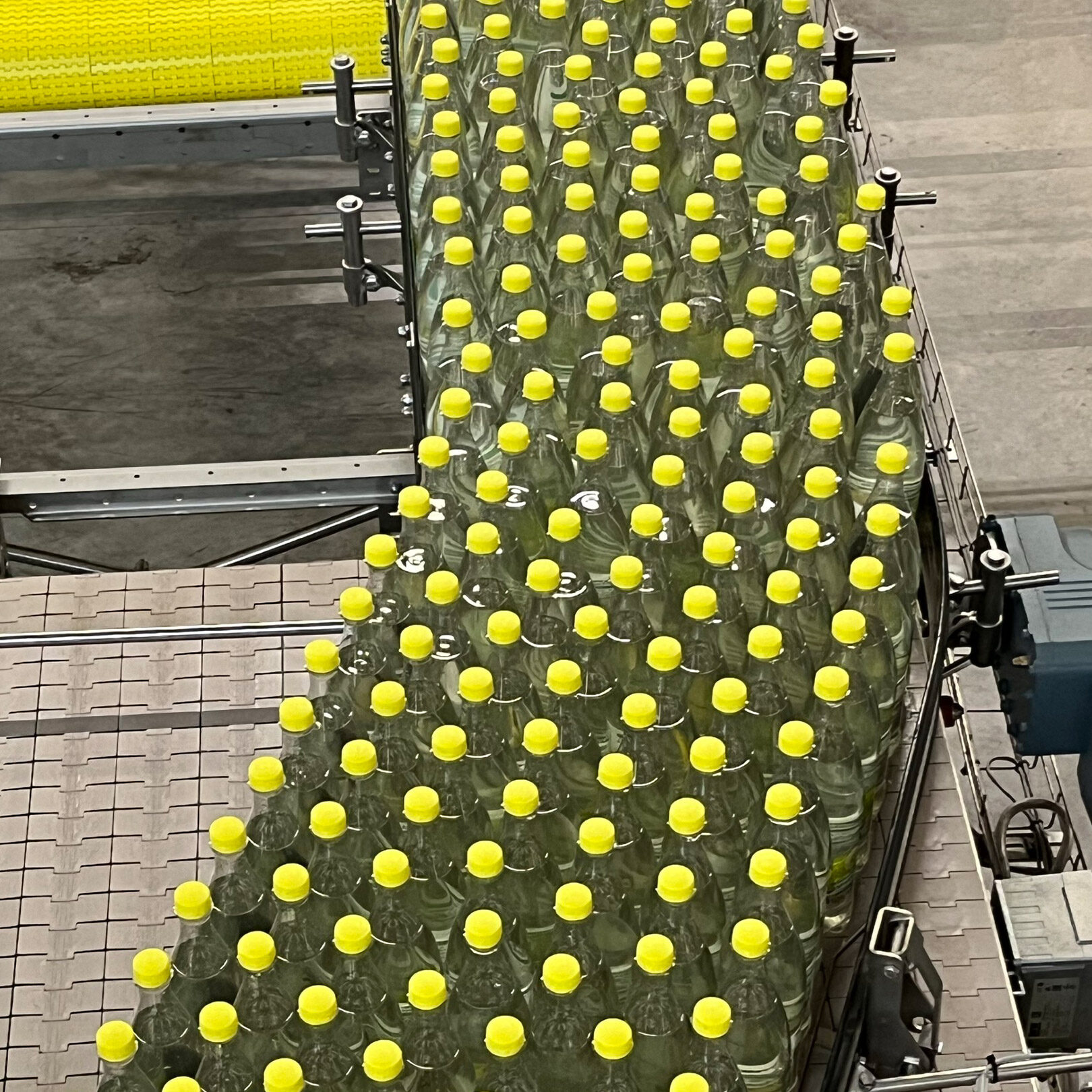 Fruit-Infused Water - MEG Derby